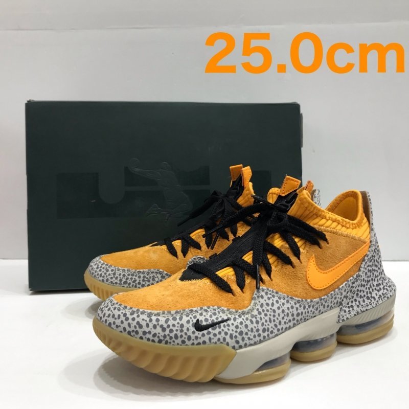 【全体的に状態が悪い】未使用に近い NIKE LEBRON XVI LOW AC ナイキ レブロン 16 CD9471−800 25．0cm Y商品/248の落札情報詳細 - ヤフオク落札価格 ...