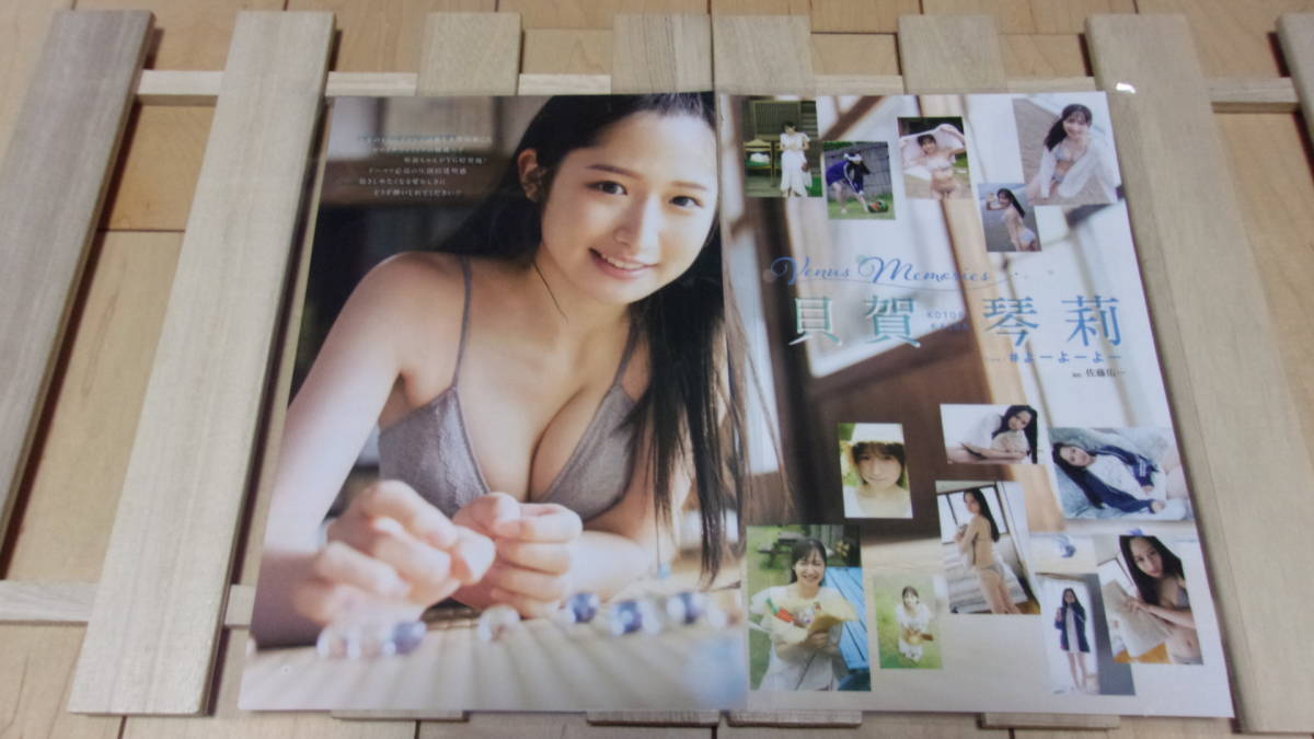 【未使用に近い】貝賀琴莉★＃よーよーよー★雑誌切抜きB5ラミネート8P★T162★美乳・美脚・美尻《O37》の落札情報詳細 - ヤフオク落札価格検索 オークフリー
