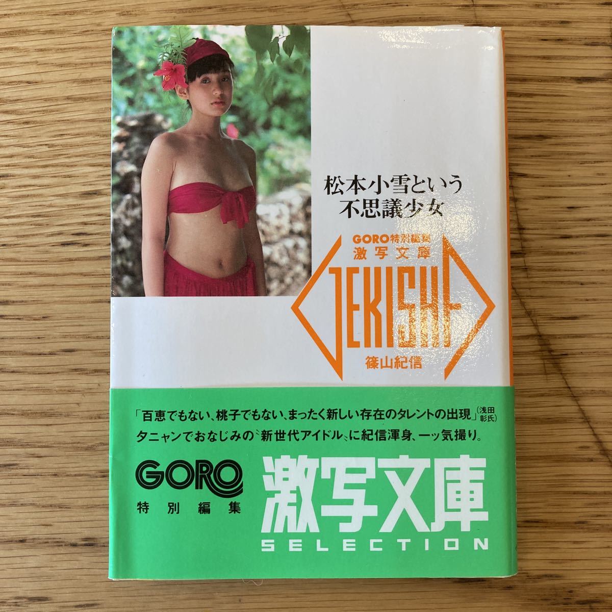 【傷や汚れあり】激写文庫 24 充分な青春 撮影/篠山紀信 Goro 大野由里子川副優子 山崎由香子 小学館の落札情報詳細 ヤフオク落札