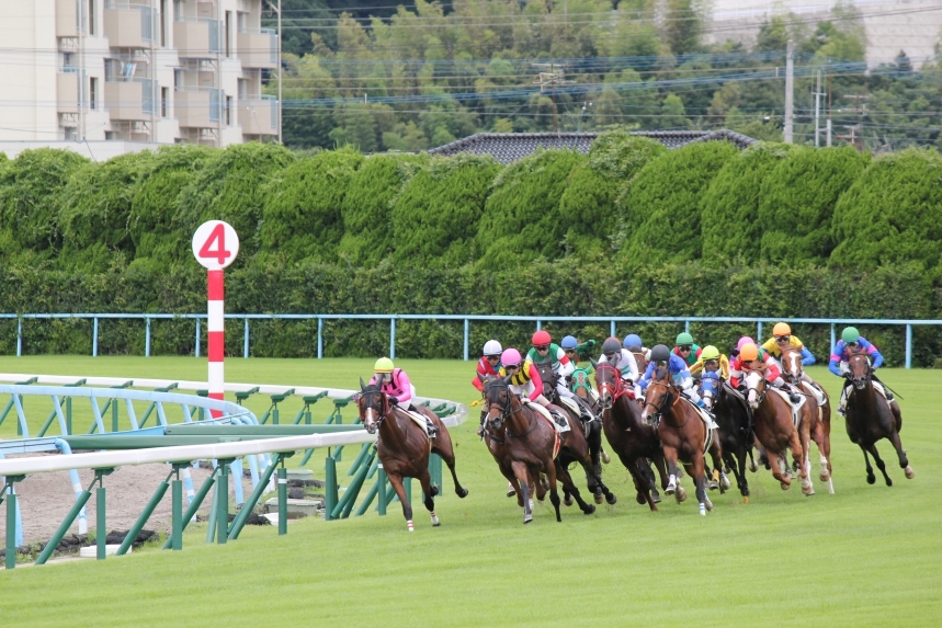 【未使用】 三連複6点で回収率200％確実 競馬手法！JRA限定【まとめ買い可能】の落札情報詳細 - Yahoo!オークション落札価格検索 オークフリー