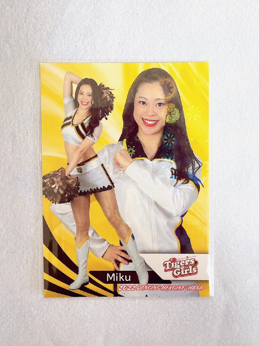 【目立った傷や汚れなし】☆ BBM プロ野球チアリーダーカード 2022 DANCING HEROINE 華 華11 阪神タイガース TigersGirls Miku ホロPPパラレル版 ☆の ...