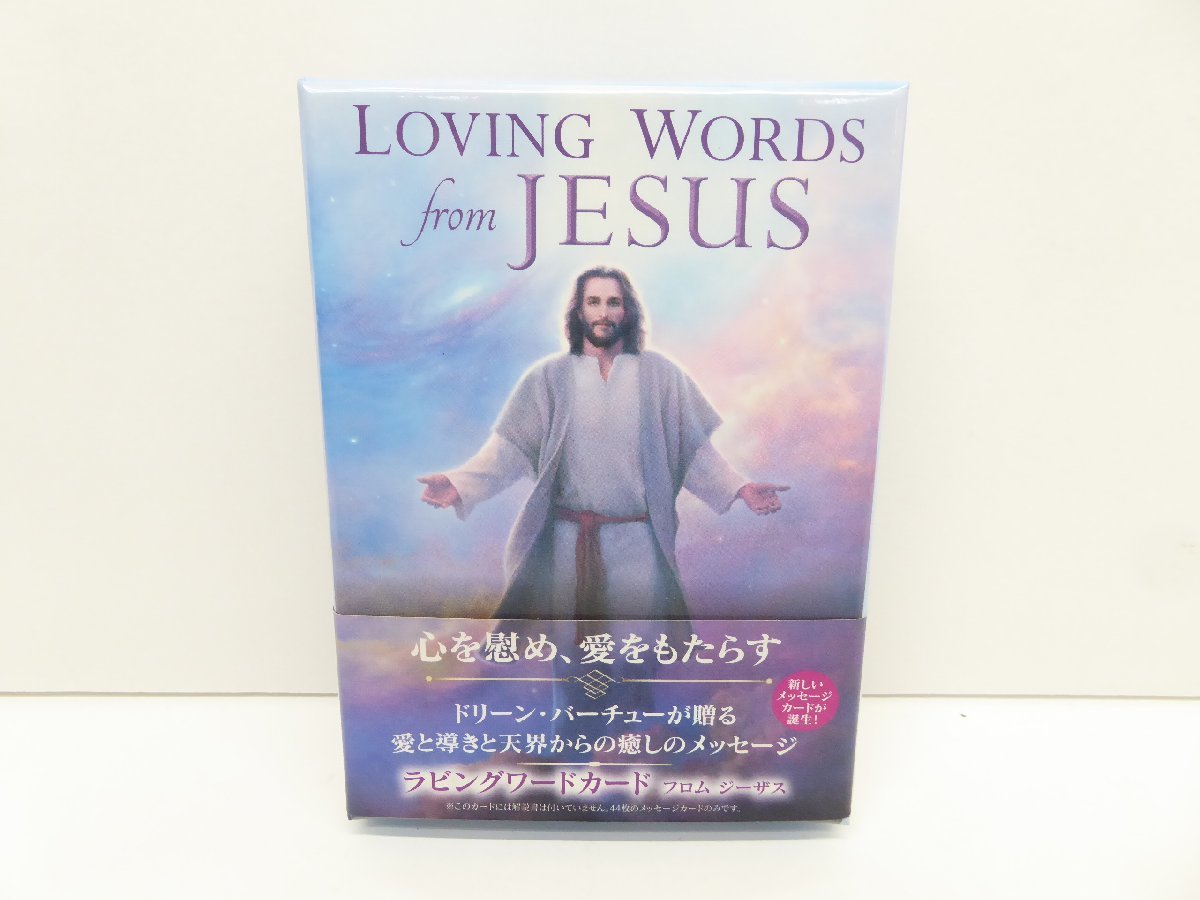 【やや傷や汚れあり】ラビングワードカード LOVING WORDS from JESUS 本 WZ1586の落札情報詳細 - ヤフオク落札価格 ...
