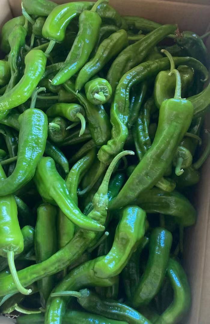 【未使用】00-1.早勝ち 100名様限定 枯露柿500g+唐辛子500gの落札情報詳細 - Yahoo!オークション落札価格検索 オークフリー