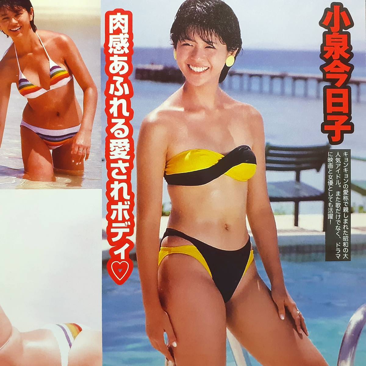 【目立った傷や汚れなし】切り抜き(406a 1)アグネスラム 薬師丸ひろ子 天地真理 小泉今日子 の落札情報詳細 ヤフオク落札価格情報 オークフリー