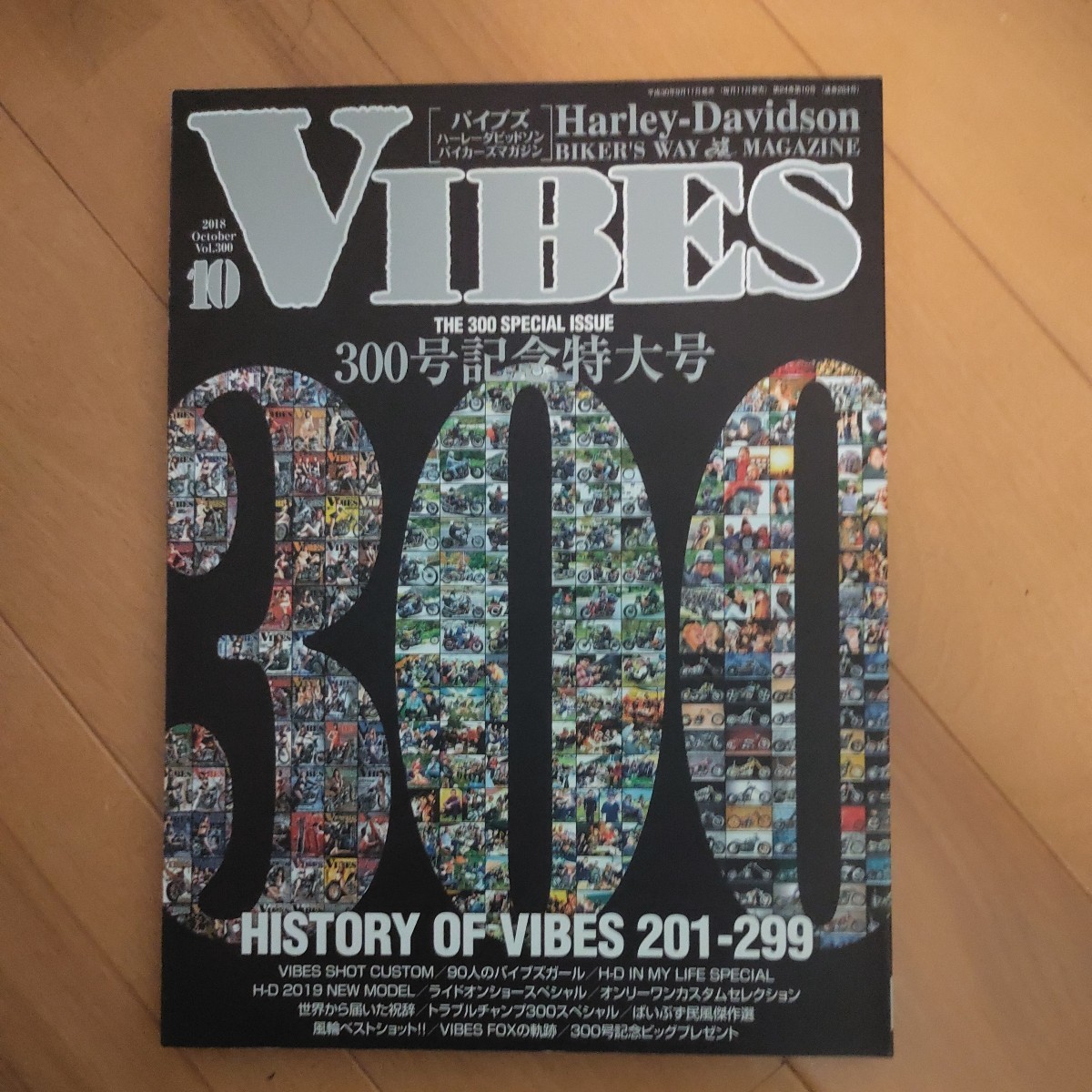 【中古】VIBESバイブズ151/2006.5 水野美香/デイトナカスタムバイクの落札情報詳細 - ヤフオク落札価格検索 オークフリー