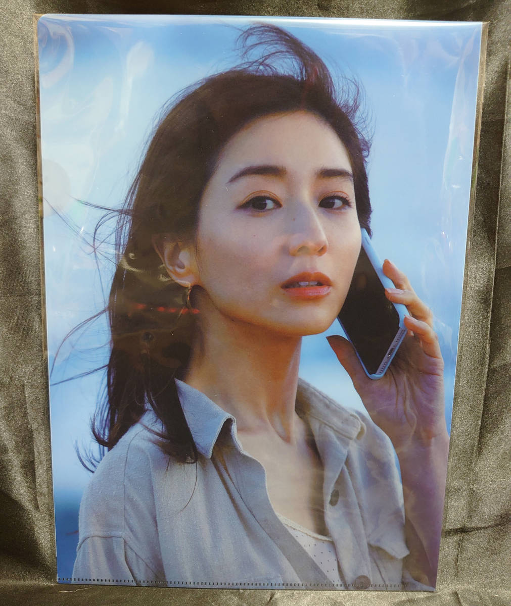 【未使用に近い】【美品/送料無料】田中みな実 クリアファイル A4サイズ 両面印刷【希少品/非売品】 OCN モバイルONEの落札情報詳細 - Yahoo!オークション落札価格検索 オークフリー
