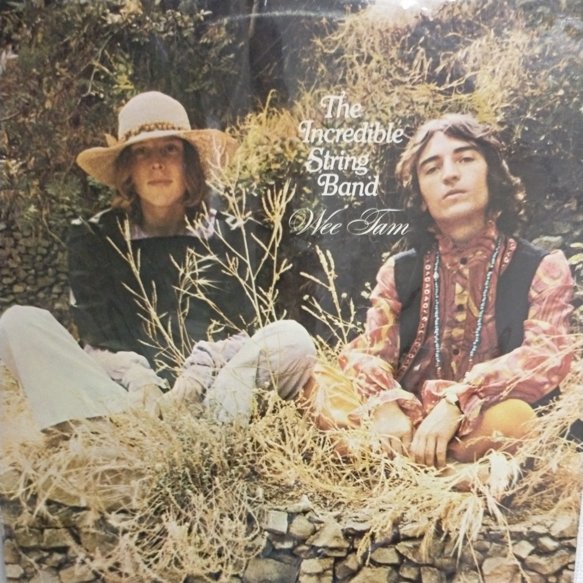 【目立った傷や汚れなし】the incredible string band wee tam lp レコード アシッドフォークの落札情報詳細 ...