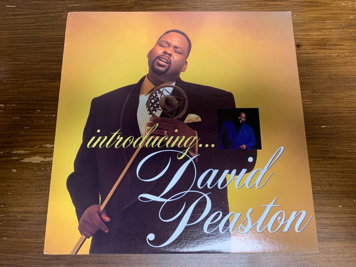 【傷や汚れあり】David Peaston / Introducing...の落札情報詳細 - ヤフオク落札価格検索 オークフリー