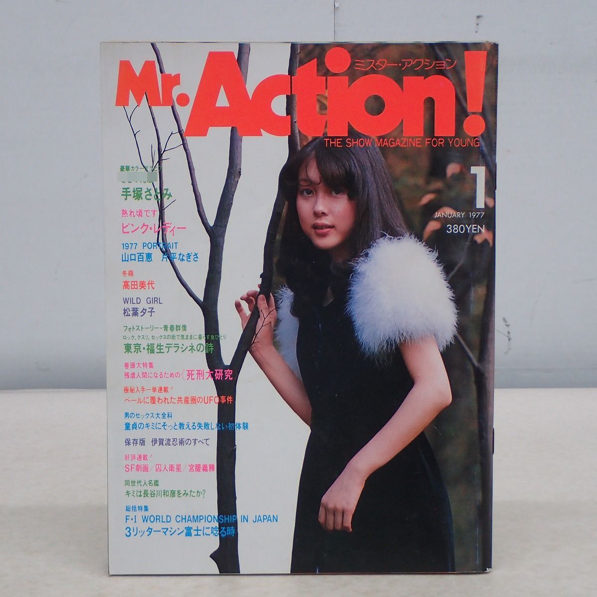 【やや傷や汚れあり】∀Mr.Action！ ミスターアクション 1977年/昭和52年 1月号 山口百恵 片平なぎさ ピンクレディー 当時物 アイドル【GM；G0AB0614の落札情報詳細 ...