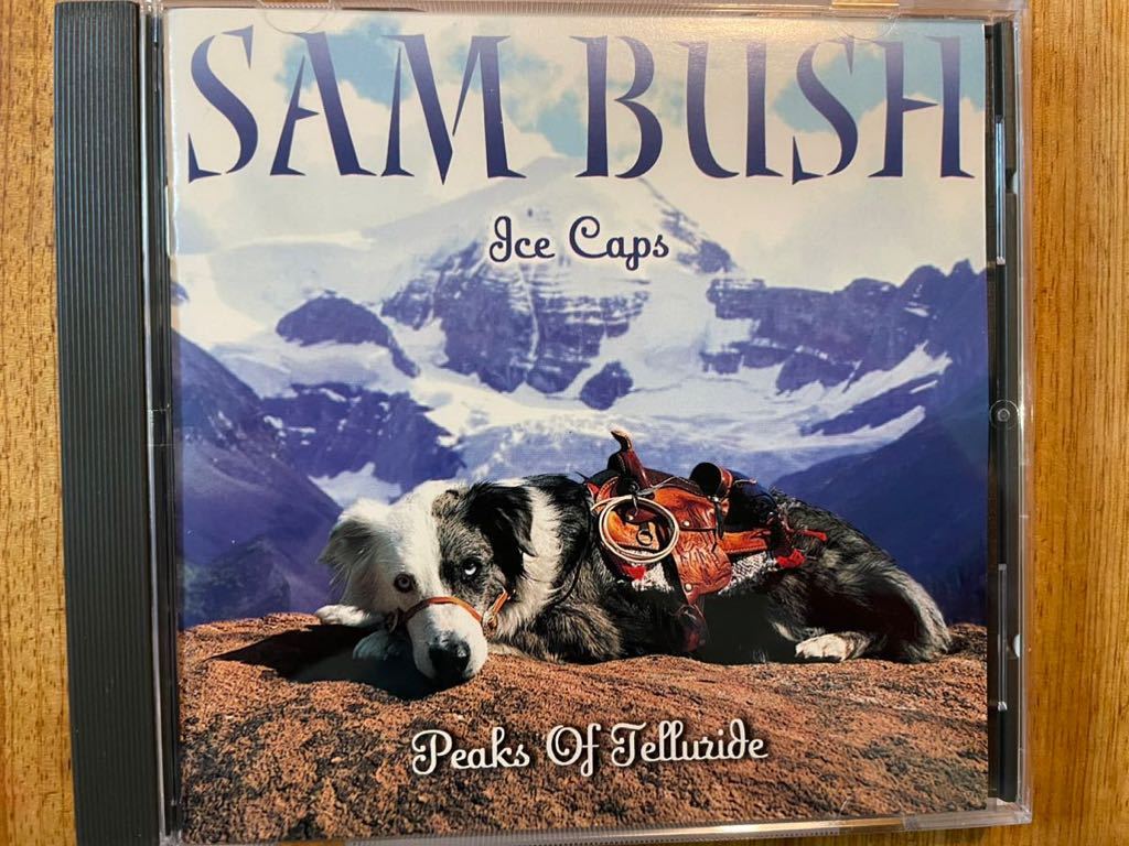 【目立った傷や汚れなし】CD SAM BUSH / ICE CAPS PEAKS OF TELLURIDEの落札情報詳細 - Yahoo!オークション落札価格検索 オークフリー