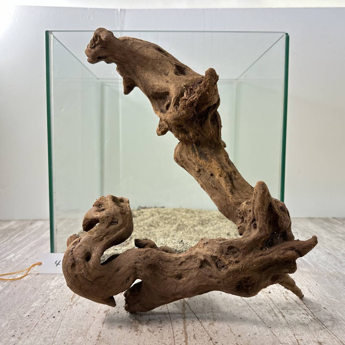 【未使用】マングローブ系流木 Lサイズ・オンリーワン ★現物撮影 1点 No. 4434 （約W32cm)の落札情報詳細 - ヤフオク落札価格検索 オークフリー