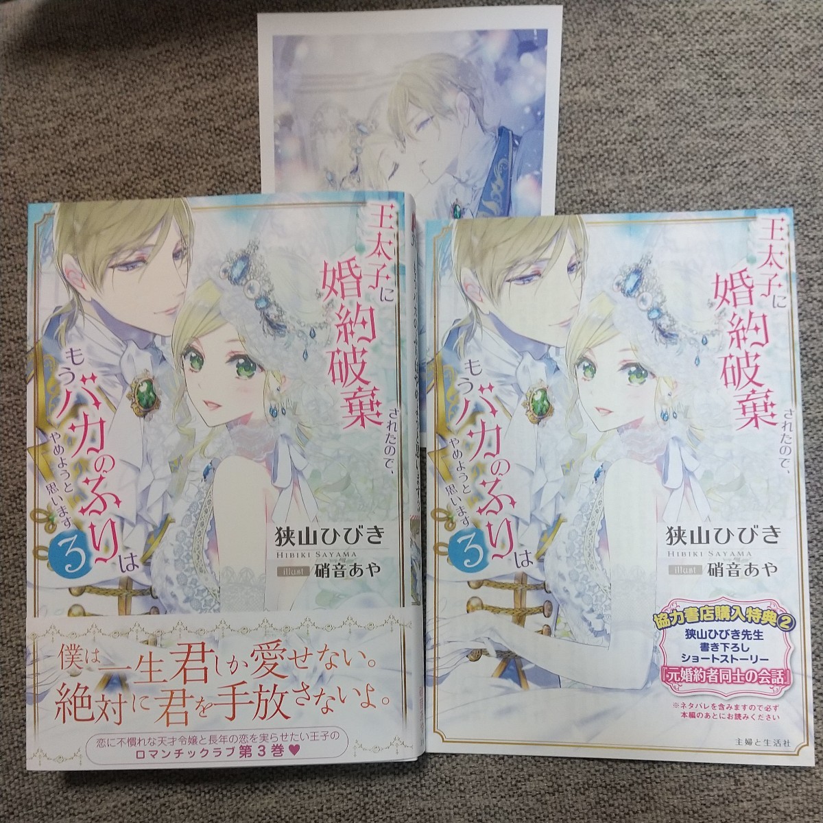 【目立った傷や汚れなし】王太子に婚約破棄されたので、もうバカのふりはやめようと思います 3 （PASH！ブックス PB Fiore） 特典2種付きの落札情報詳細 - ヤフオク落札価格検索 オークフリー