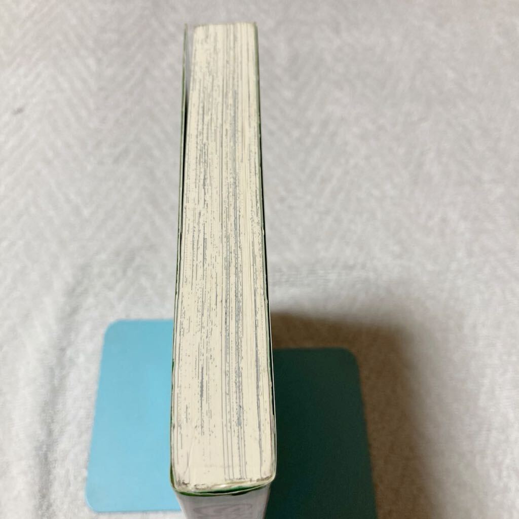 【やや傷や汚れあり】ダンディ・ドラゴン＆スプリング★タイガー 高橋なの Dandy dragon&Spring tigerの落札情報詳細 - Yahoo!オークション落札価格検索 オークフリー