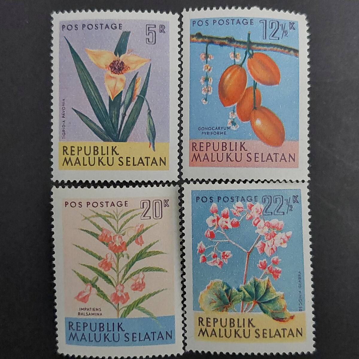 【未使用に近い】J428 南マルク共和国(インドネシアから独立した短命国家:1950-1963年)の未承認切手(シンデレラ切手)「花シリーズ4 ...