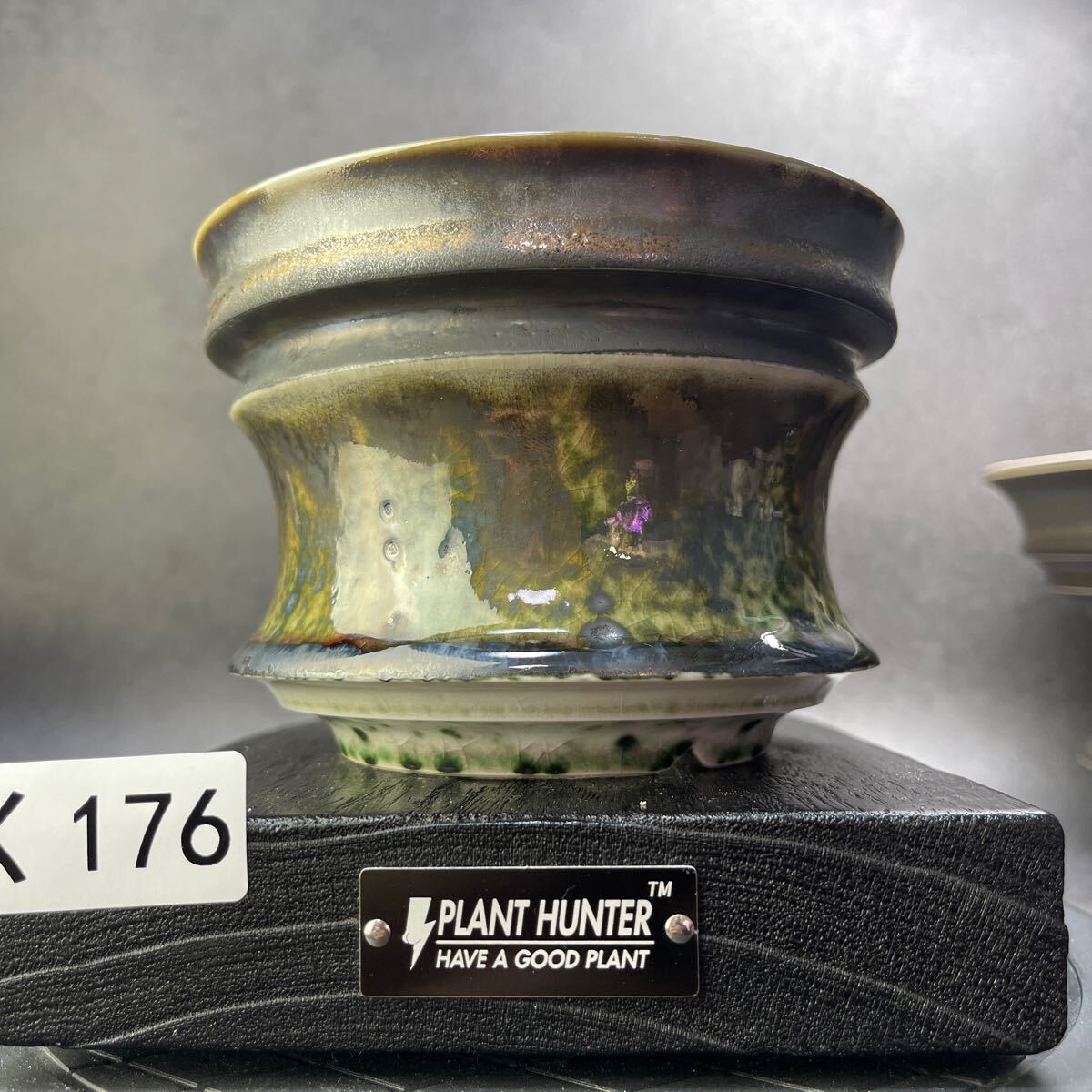 【未使用】く176 L HAND Made 植木鉢 陶器 検（塊根植物 アガベ パキプス invisible ink raw life factory SRL 信楽カタチ製作所 グラキリス)の ...