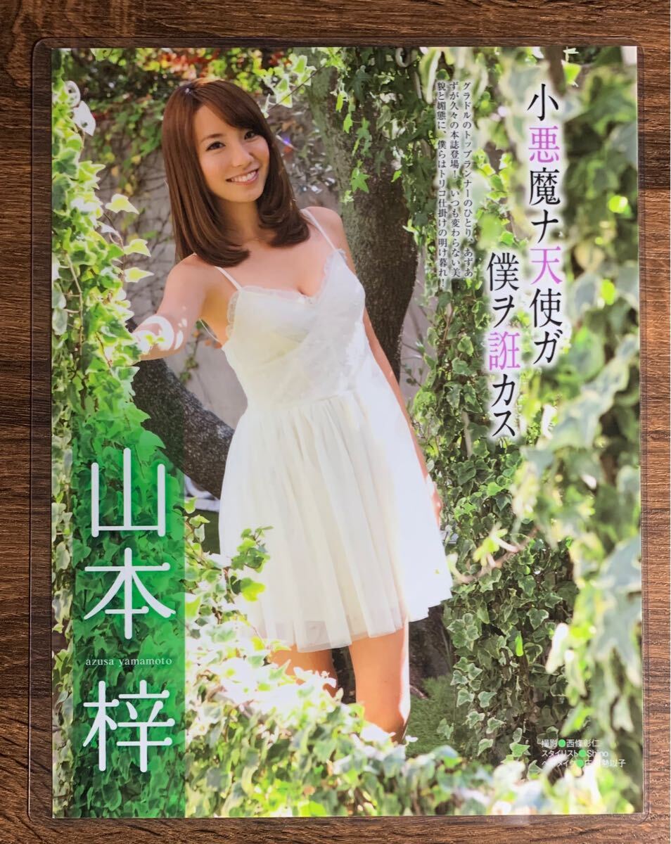 【目立った傷や汚れなし】【厚手ラミネート加工】山本梓 水着 A4変サイズ 雑誌切り抜き 4ページ EX大衆 2013.01 芸能人 女優 アイドル【グラビア】-J14の落札情報詳細 ...