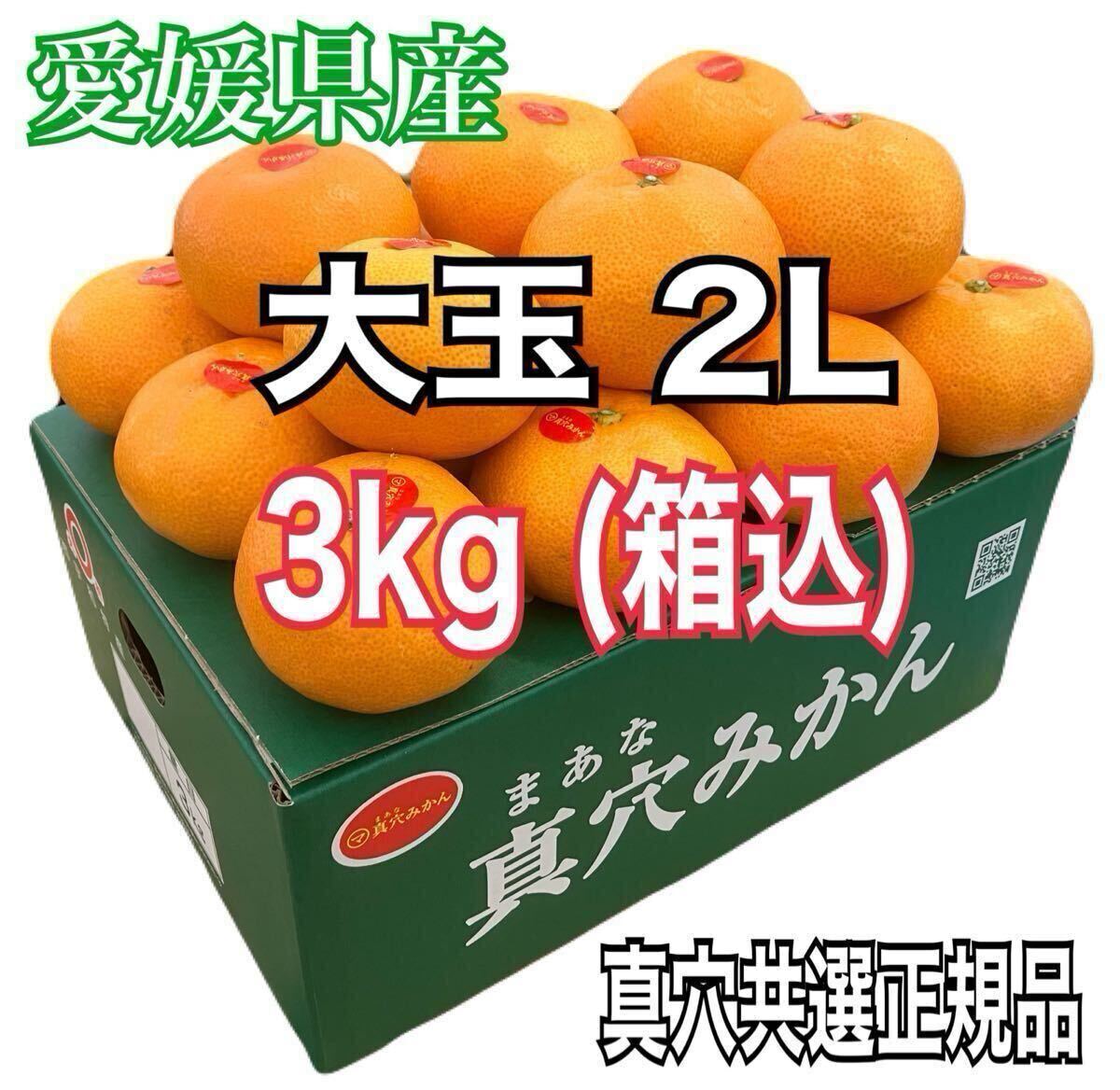 【未使用】②『大玉』愛媛県西宇和産 真穴みかん 2Lサイズ 3kg 【箱込】 【真穴共選正規品】の落札情報詳細 - Yahoo!オークション落札価格検索 オークフリー