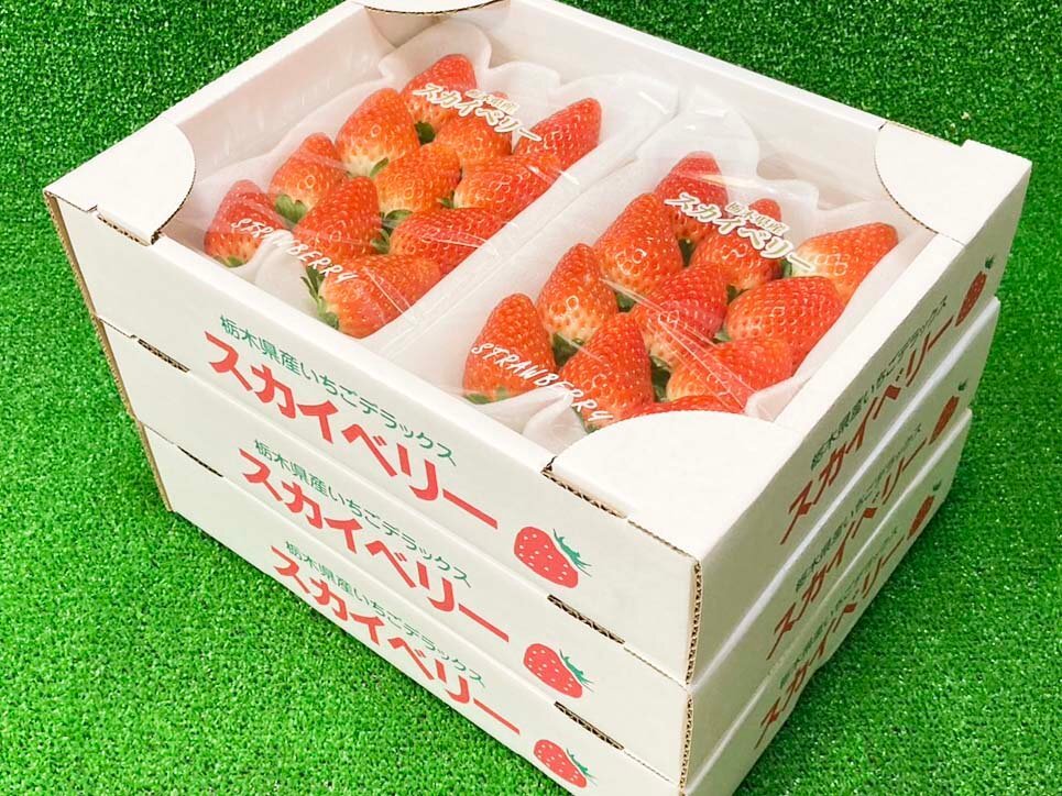 【未使用】【Good】たっぷり6パック入り！大量3箱！プレミアムいちご 栃木県産『スカイベリー』ご予約の落札情報詳細 - Yahoo ...