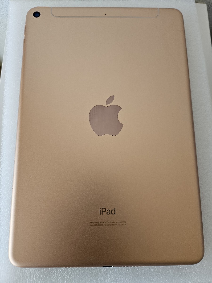 【やや傷や汚れあり】1円～ Apple iPad mini 第5世代 / Wi-Fi + Cellular / 256GB / シルバー / iOS 18.2 / 7.9型 ...