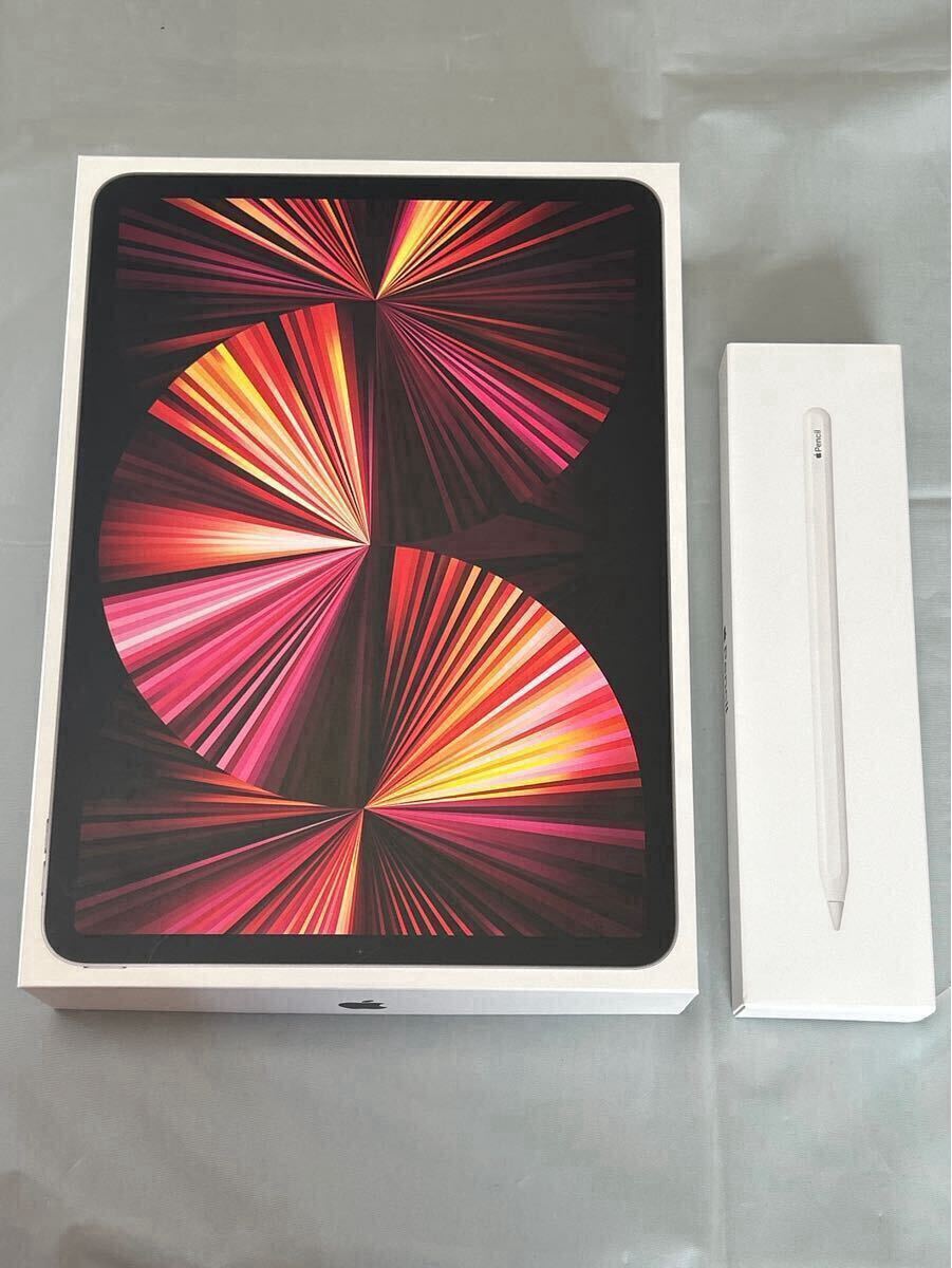 【やや傷や汚れあり】【ApplePencil2付き】iPad Pro 11インチ Wi-Fi 512GB スペースグレイ 2021年モデル(第 ...