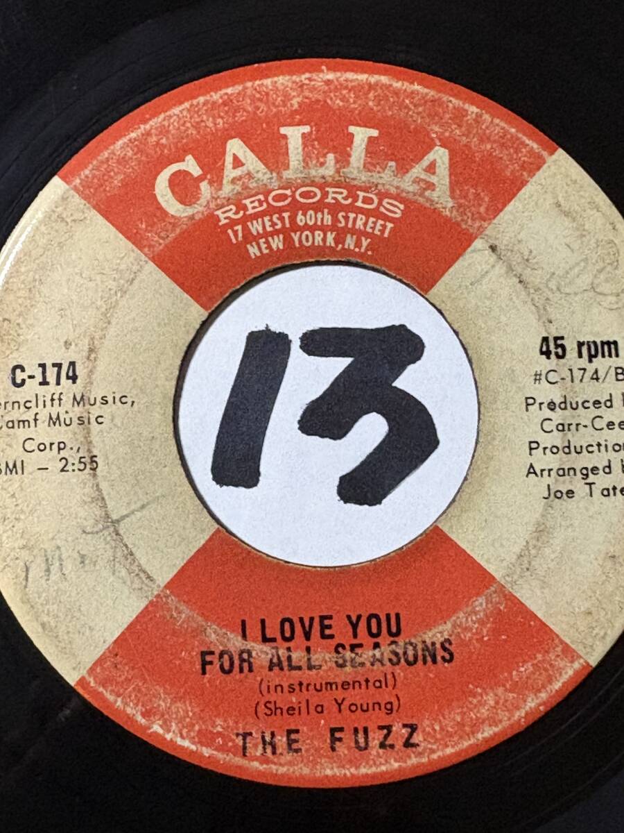 【傷や汚れあり】試聴 1969 THE FUZZ I LOVE YOU FOR ALL SEASONS VOCAL/INST 両面VG(+)の ...