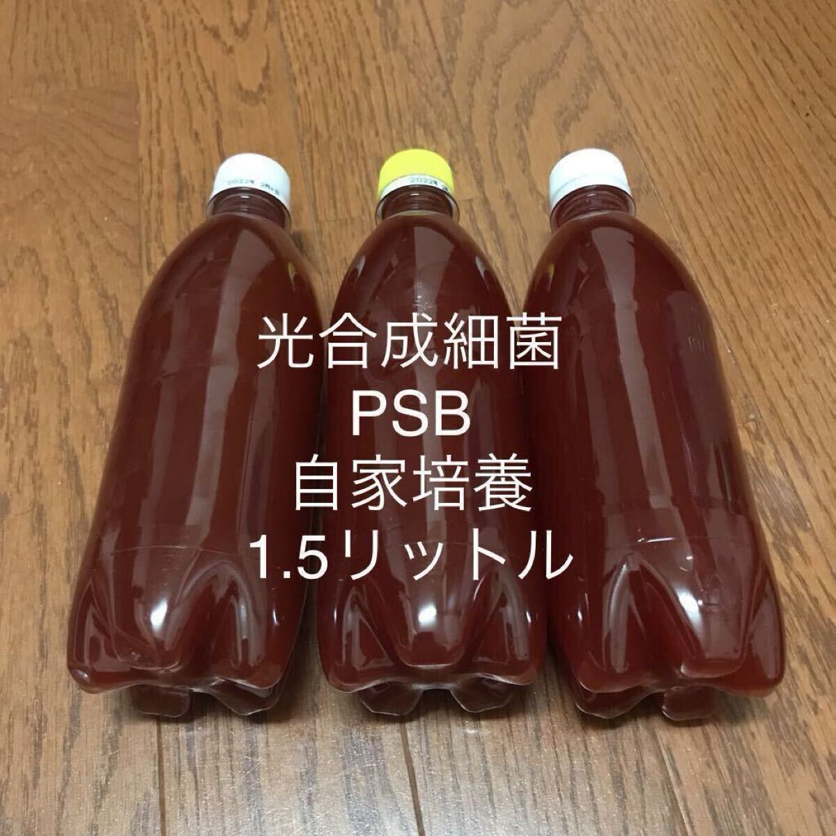 【未使用】自家培養 光合成細菌 PSB 1.5リットル エサ 水質浄化の落札情報詳細 - Yahoo!オークション落札価格検索 オークフリー