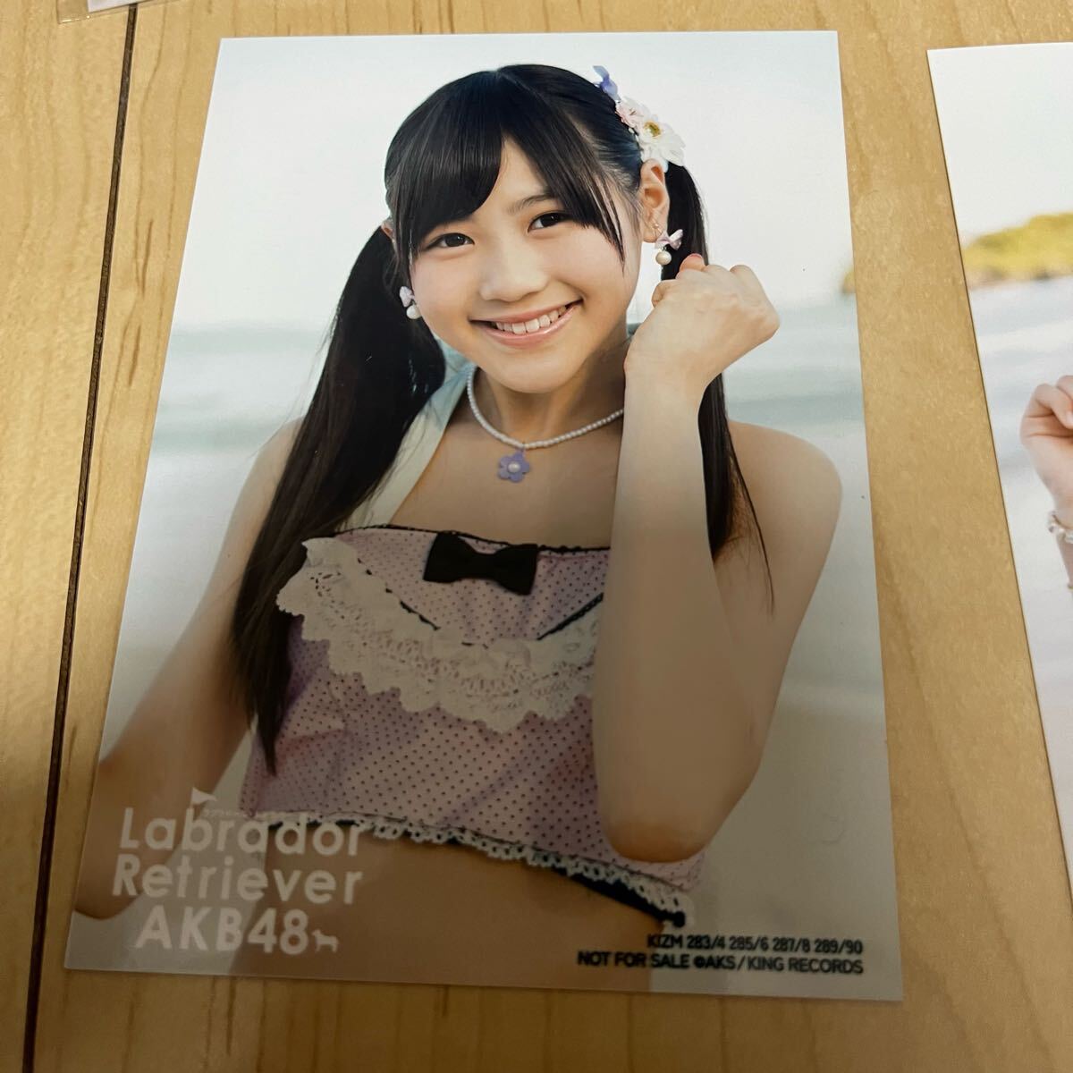 【やや傷や汚れあり】西野未姫 ラブラドール・レトリバー 通常盤 生写真 ＜水着ver＞ AKB48の落札情報詳細 - Yahoo!オークション落札価格検索 オークフリー