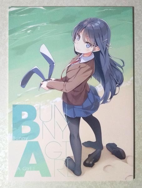 【目立った傷や汚れなし】青春ブタ野郎はバニーガール先輩の夢を見ない 青ブタ 同人誌 イラスト集 BA Bunny A Girl! (C95/溝口ケージ/Ntype)の落札情報詳細 ...