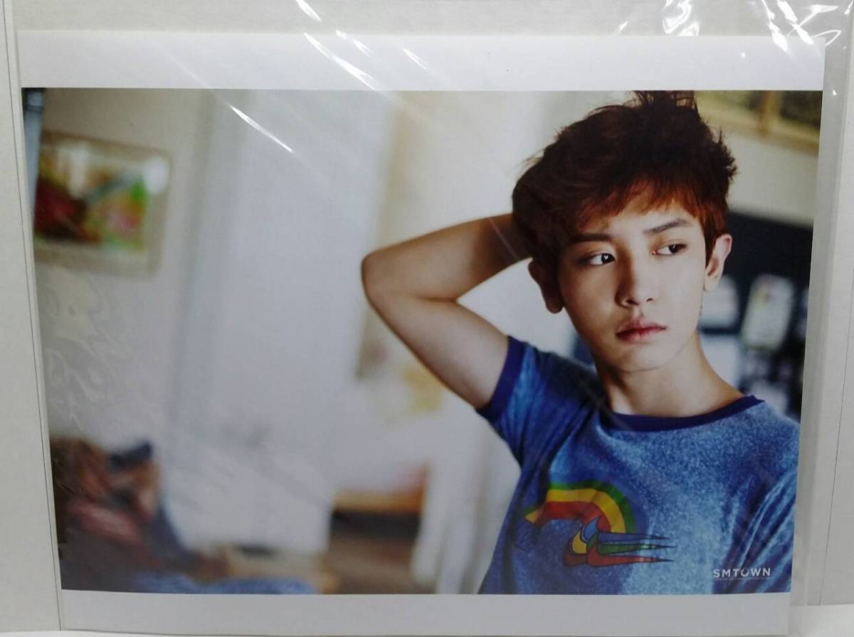 【目立った傷や汚れなし】即決【公式】SM SUM 大型 フォト★EXO★チャニョル 75番★EXHIBITION DIE JUNGS チャンヨル 韓国の落札情報詳細 - ヤフオク落札価格検索 ...
