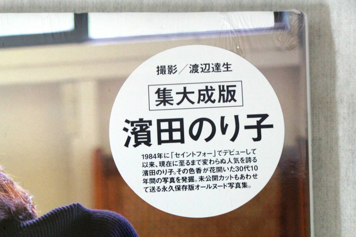 未開封 濱田のり子/セイントフォー 写真集 集大成版 memories of NORIKO HAMADA 渡辺 達夫 竹書房の落札情報詳細 ...