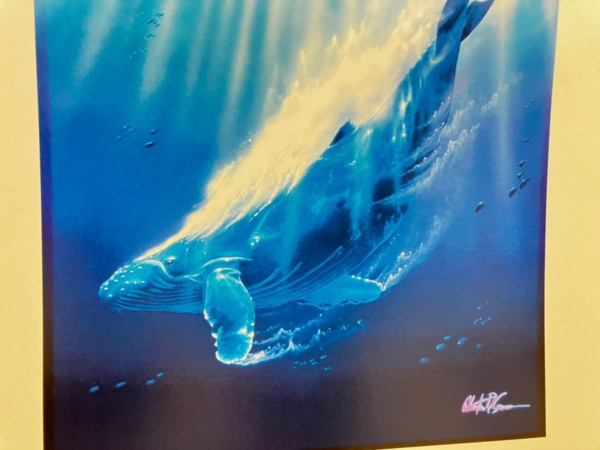【傷や汚れあり】E431-O27-190 Christian R.LASSEN クリスチャンラッセン WHALE SONG ホエールソングズ ...