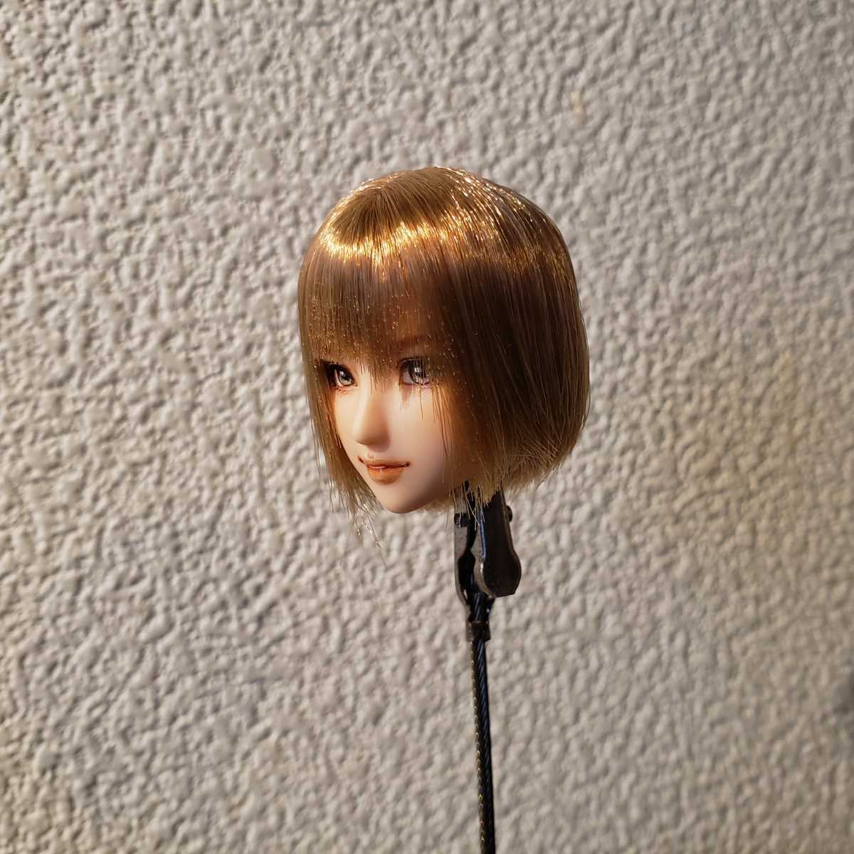 【未使用に近い】オビツ カスタムヘッド① 1/6 12インチフィギュア (検 TBLeague PHICEN HOTTOYS VERYCOOL ...