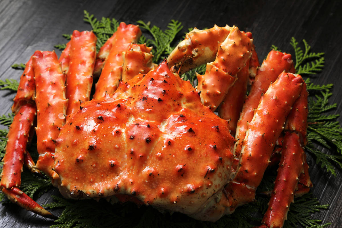 【未使用】訳あり 稚内産 成体ですが脚が1本外れています。ボイルたらば蟹 炊き上がり時 約3.7kg 同梱可能！ 年末・年始配送指定日可能！の落札情報詳細 - Yahoo!オークション落札価格 ...