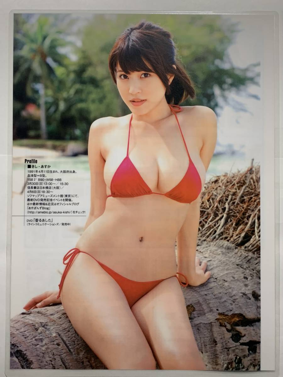 【目立った傷や汚れなし】【厚手ラミネート加工】岸明日香 水着 A4変サイズ 雑誌切り抜き 2ページ【グラビア】 T5の落札情報詳細