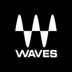 【未使用】ミックスの鍵となる”トランジェント”を自在に操るプラグイン Waves Trans-X 未使用正規品の落札情報詳細 - ヤフオク落札 ...