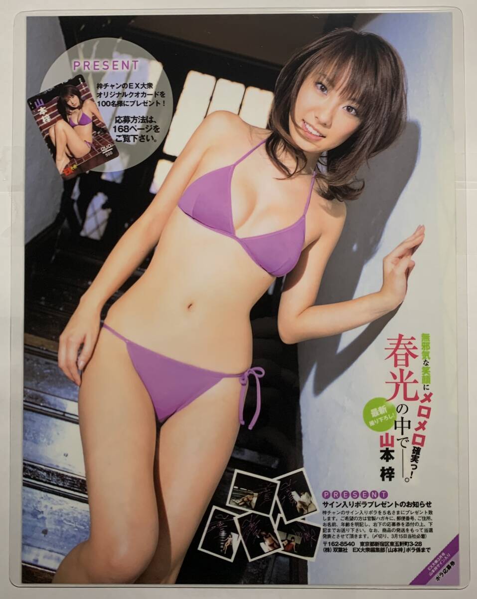 【目立った傷や汚れなし】【厚手ラミネート加工】山本梓 水着 A4変サイズ 雑誌切り抜き 7ページ EX大衆2007年3月号【グラビア】-J5の落札情報詳細 - Yahoo!オークション落札価格 ...