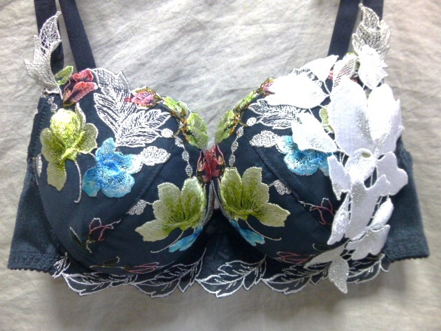 【未使用】サルート 71 キューバ E75 LB P-Upタイプ ワコールの落札情報詳細 - Yahoo!オークション落札価格検索 オークフリー