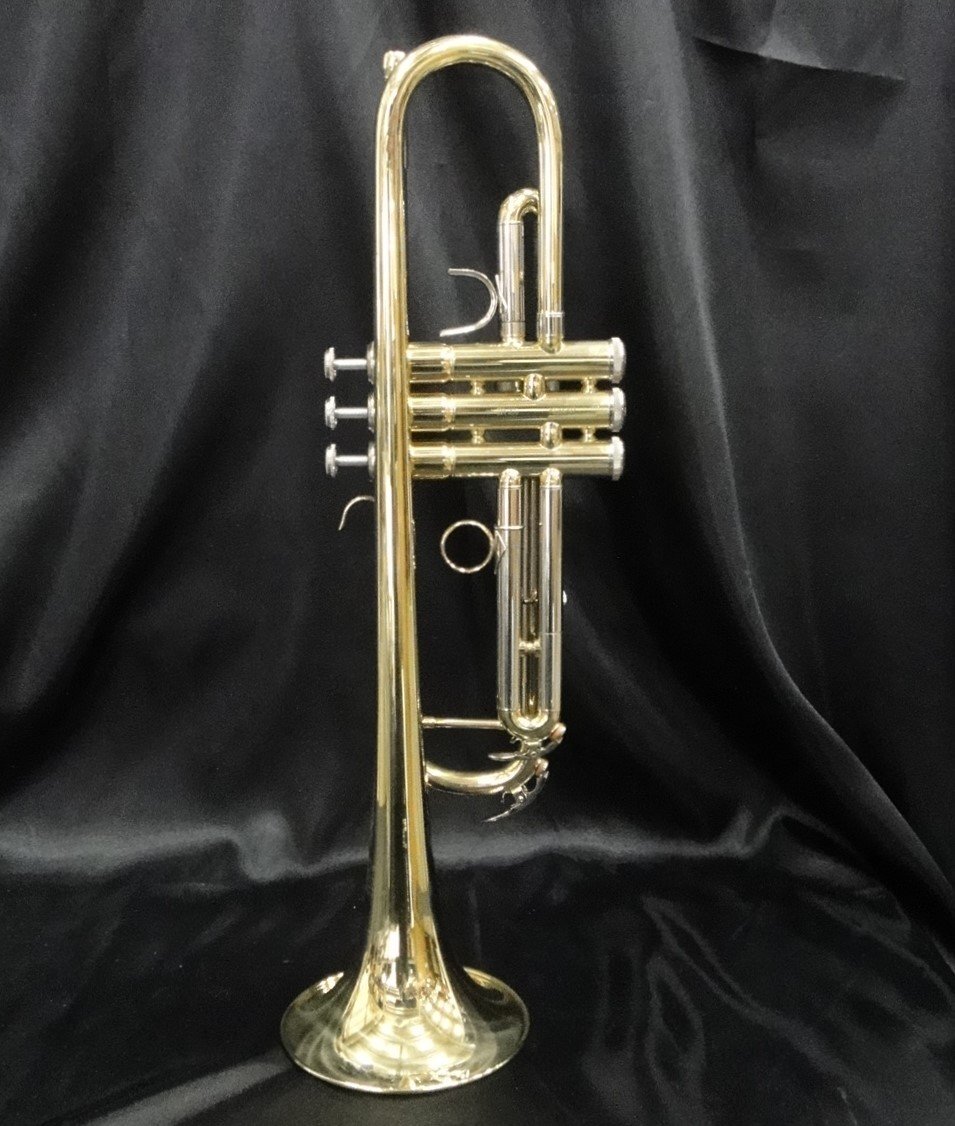 【全体的に状態が悪い】【中古】J・MICHAEL TR-200 トランペット JUNK ジャンク 現状渡しの落札情報詳細 - Yahoo!オークション落札価格検索 オークフリー