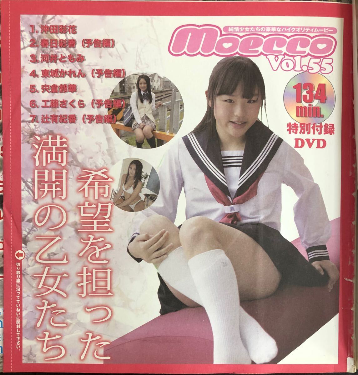 【未使用】Moecco Vol.55 DVD 134分 特別付録のみの出品です。雑誌は無しの落札情報詳細 - Yahoo!オークション落札価格検索 オークフリー