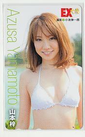 【未使用】特3-s045 山本梓 テレカの落札情報詳細 - Yahoo!オークション落札価格検索 オークフリー