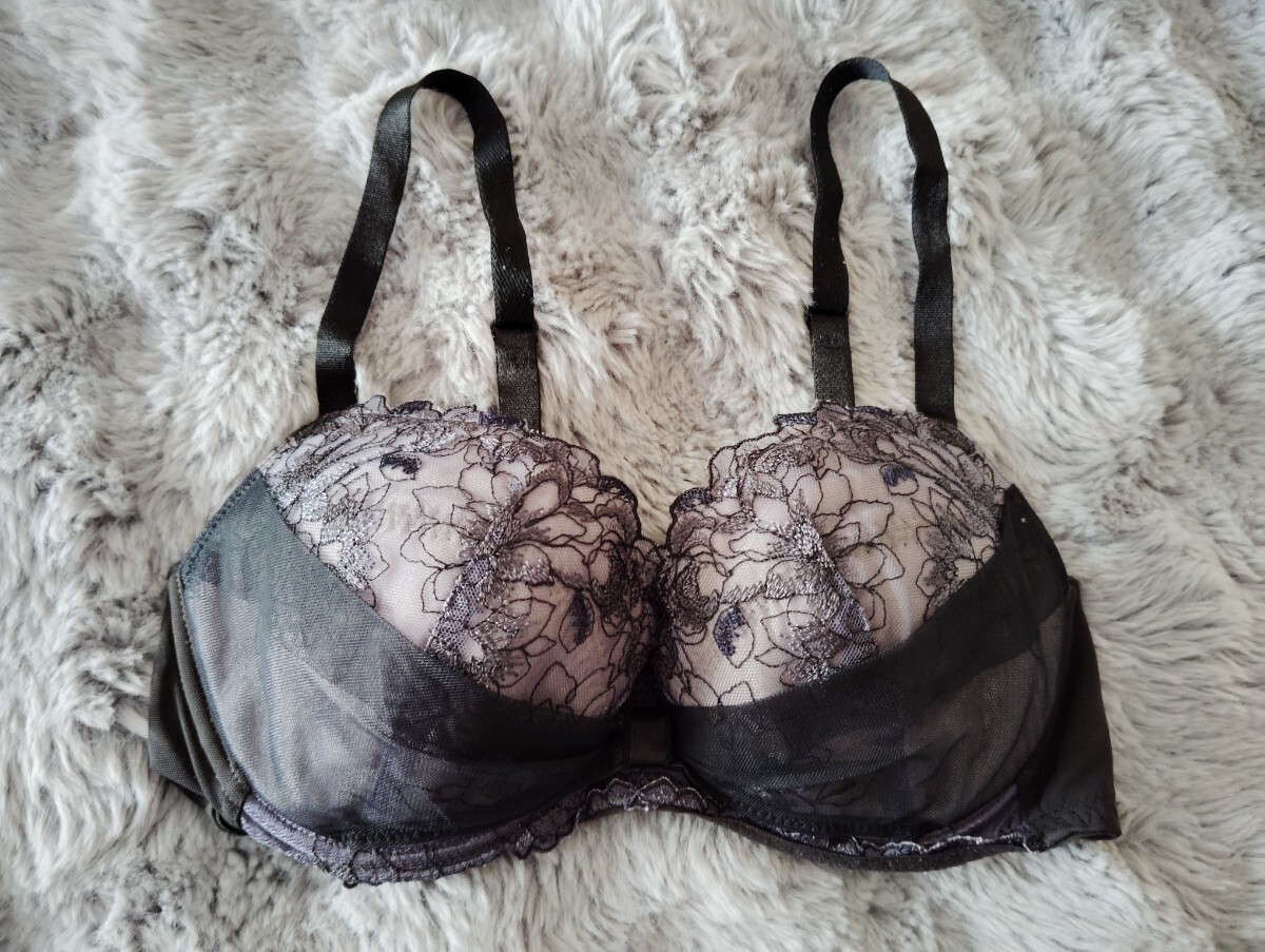 【傷や汚れあり】ワコール ブラジャー E75 補正下着 ホームクリーニング済みの落札情報詳細 - Yahoo!オークション落札価格検索 オークフリー