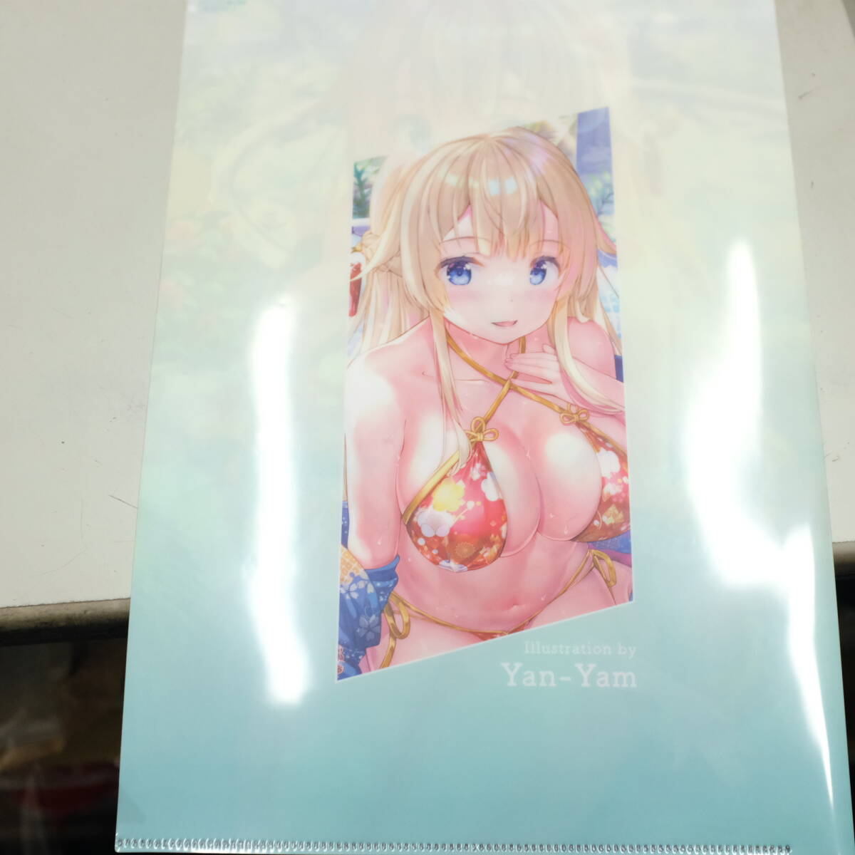 【目立った傷や汚れなし】「Yan-Yam/辰巳出版 メロンブックス特典クリアファイル」の落札情報詳細 - Yahoo!オークション落札価格検索 オークフリー