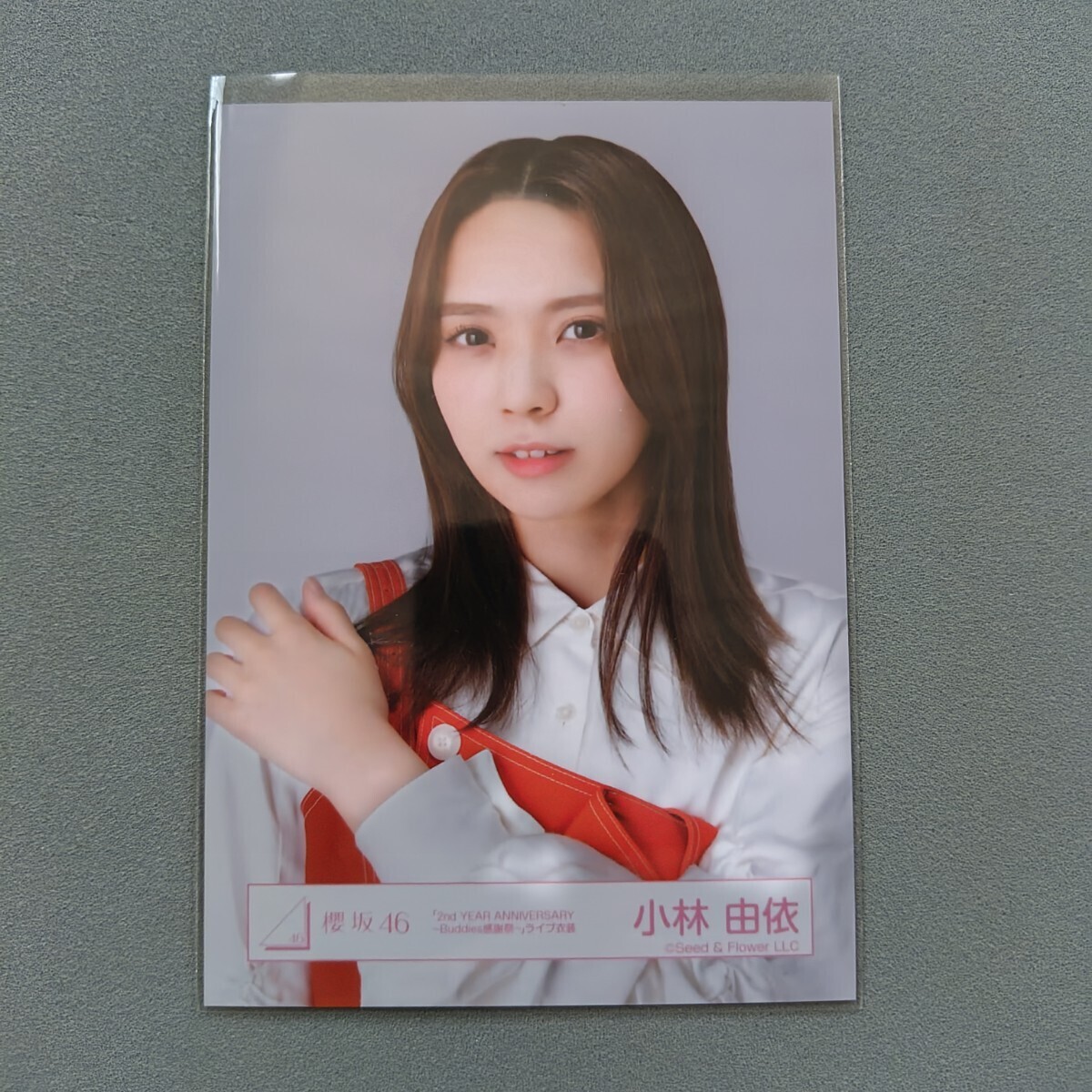 【未使用に近い】【 櫻坂46 井上梨名 2nd YEAR ANNIVERSARY Buddies感謝祭 ライブ衣装 生写真 1枚 】欅坂46 ...