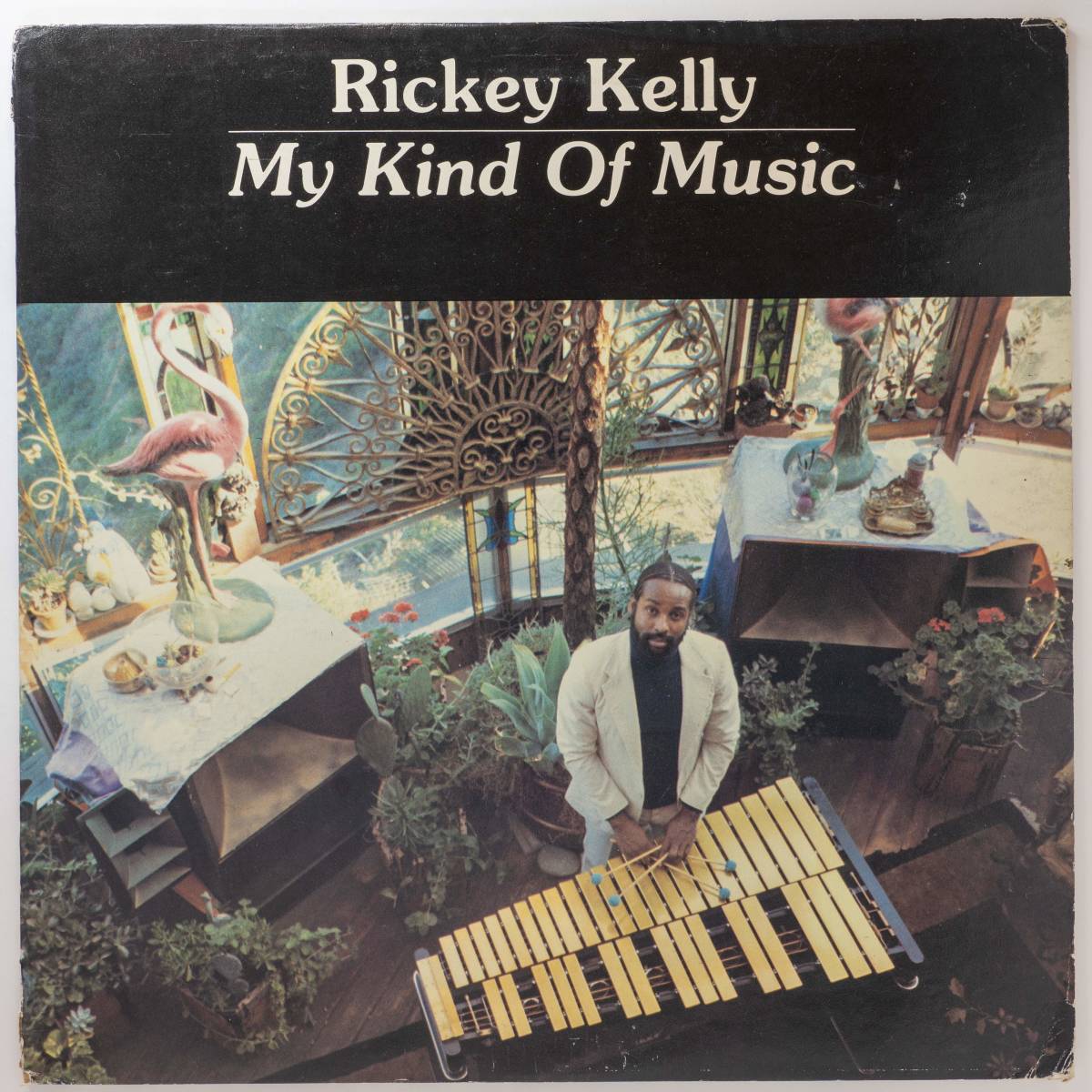 【目立った傷や汚れなし】Rickey Kelly - My Kind Of Musicの落札情報詳細 - Yahoo!オークション落札価格検索 ...