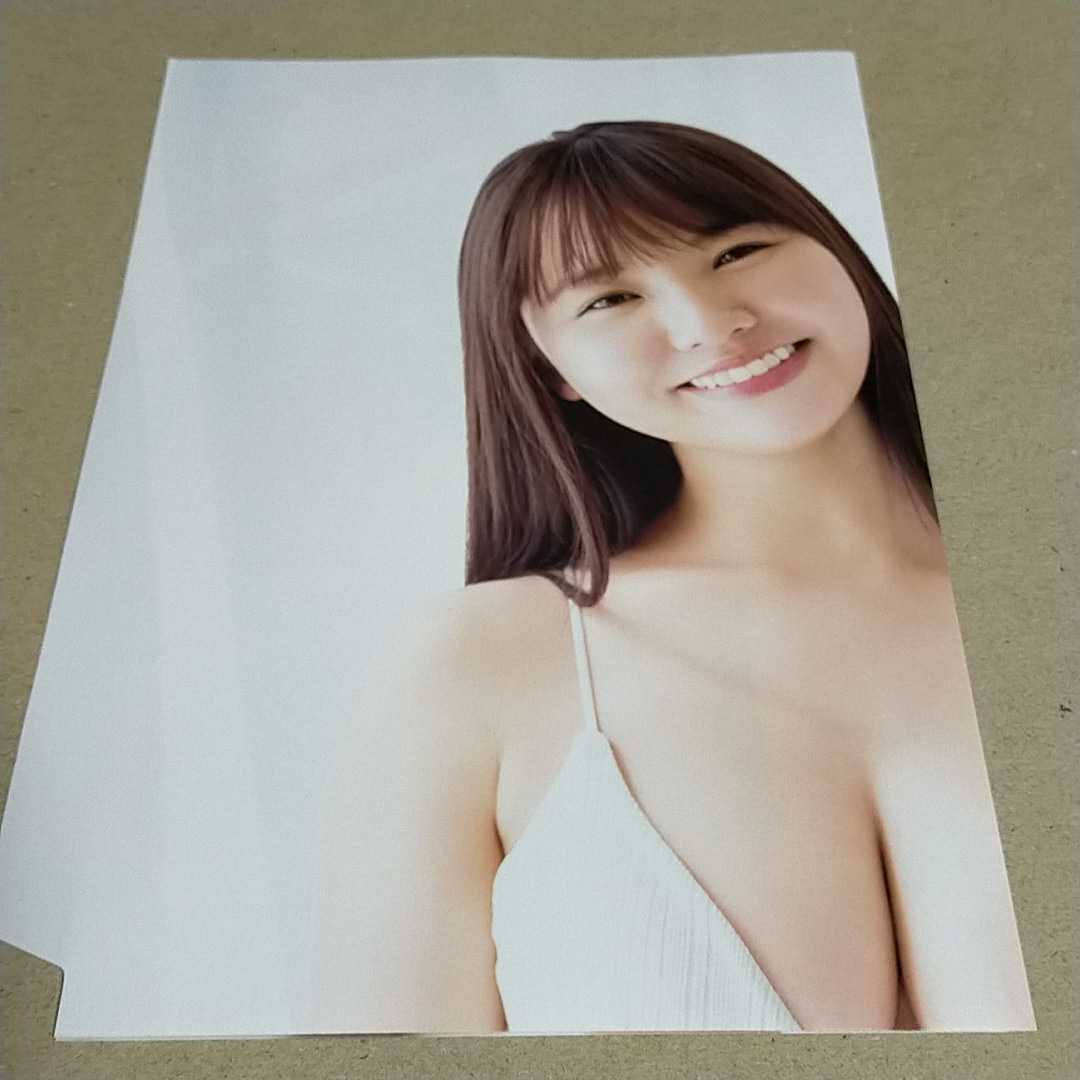 【未使用】16 NMB48 本郷柚巴 両面ポスターの落札情報詳細 - ヤフオク落札価格検索 オークフリー