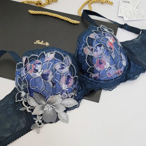 【未使用】ワコール サルート E75 ブラジャー リッチベールブラ 新品 GB BTJ736 希少 wacoal salute Rich Veil Braの落札情報詳細 - ヤフオク落札価格 ...