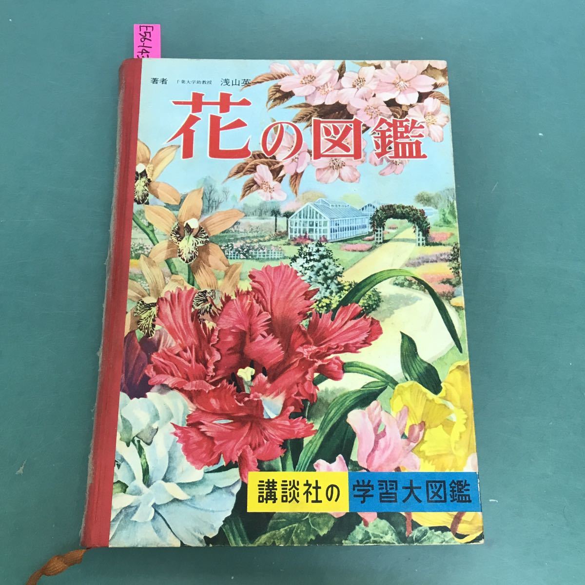 【傷や汚れあり】E56-143 花の図鑑 講談社の学習大図鑑 5 汚れ有りの落札情報詳細 - ヤフオク落札価格検索 オークフリー