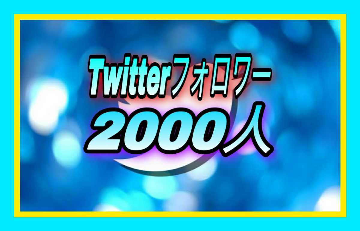 【未使用】Twitter +2000人フォロワー 増加アカウントの価値向上に★アイコン ツイッター instagram youtube 再生 ...
