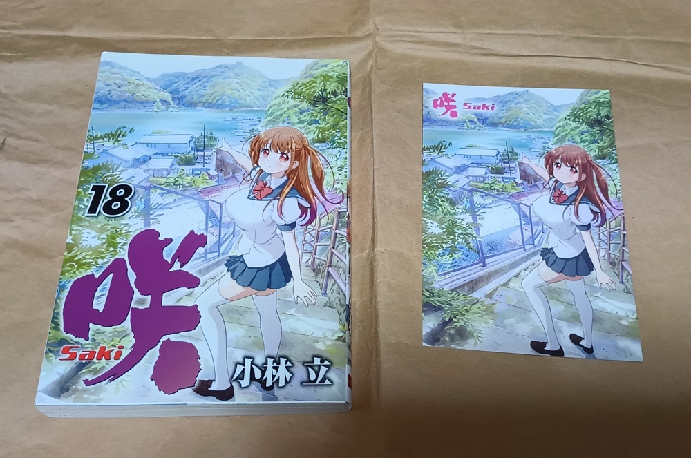 【やや傷や汚れあり】【咲 -Saki- 18巻 初版/小林立】ワンダーグー特典ポストカード付の落札情報詳細 - Yahoo!オークション落札価格検索 オークフリー