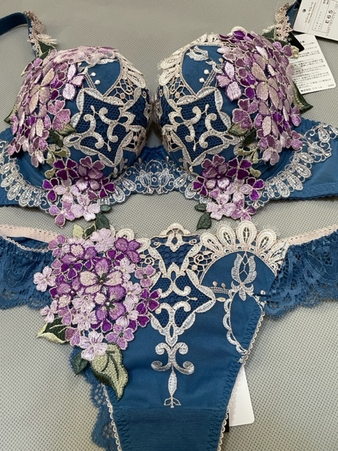 【未使用】☆ワコール サルート 49G【モロッコナズナ】E65 ソング M 店舗限定の落札情報詳細 - ヤフオク落札価格検索 オークフリー